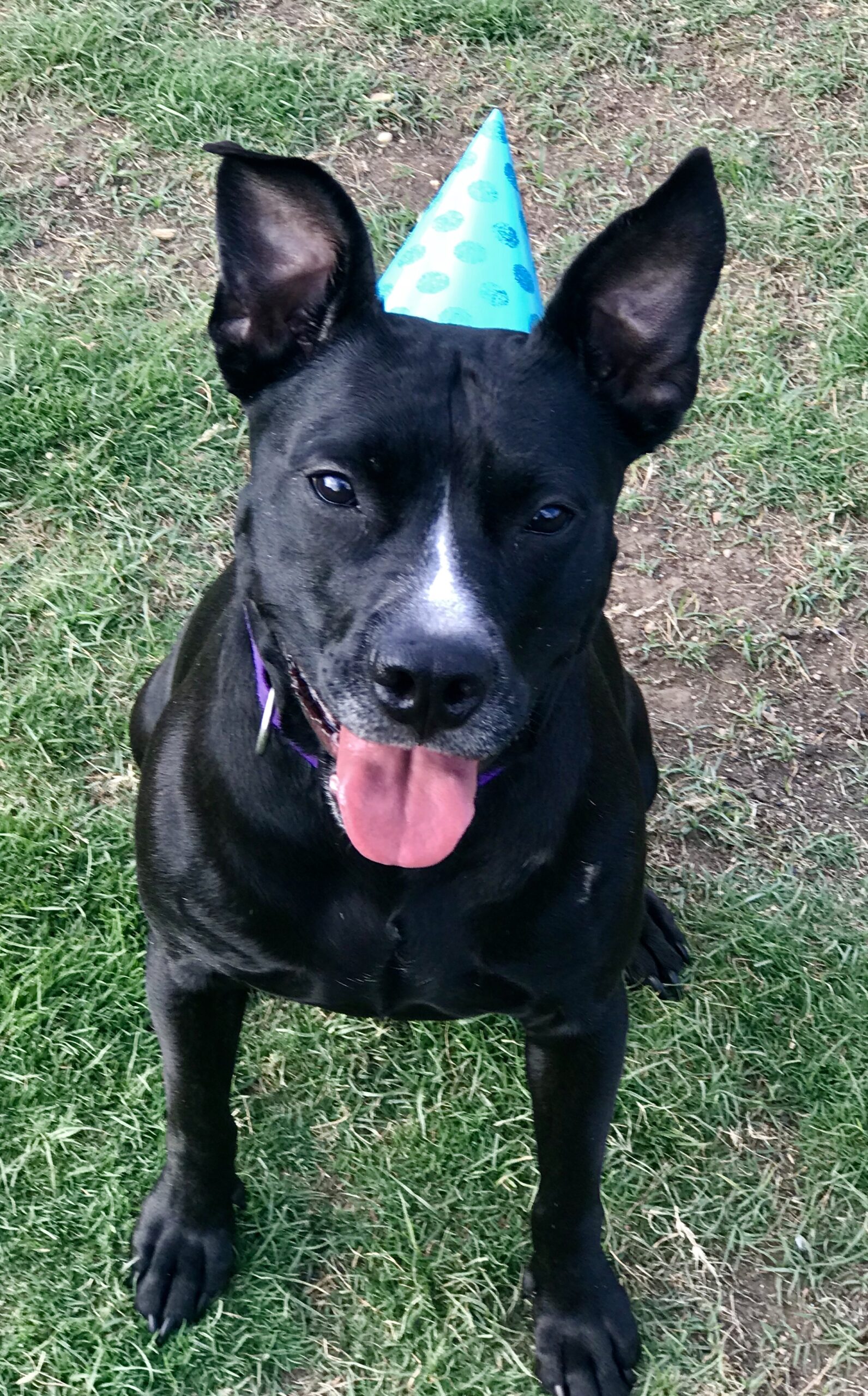 GOD-ORCHESTRATED MIRACLE: Dallas native Andrea Malone miraculously ...